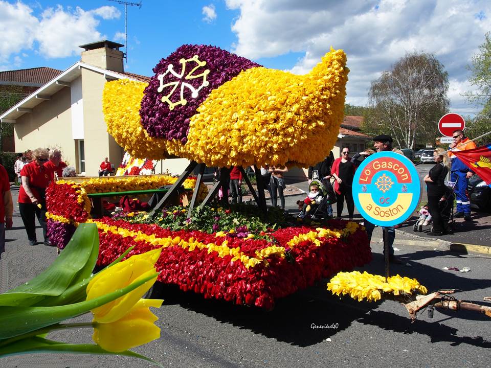 La fête de la tulipe à Soustons, que de belles choses à découvrir