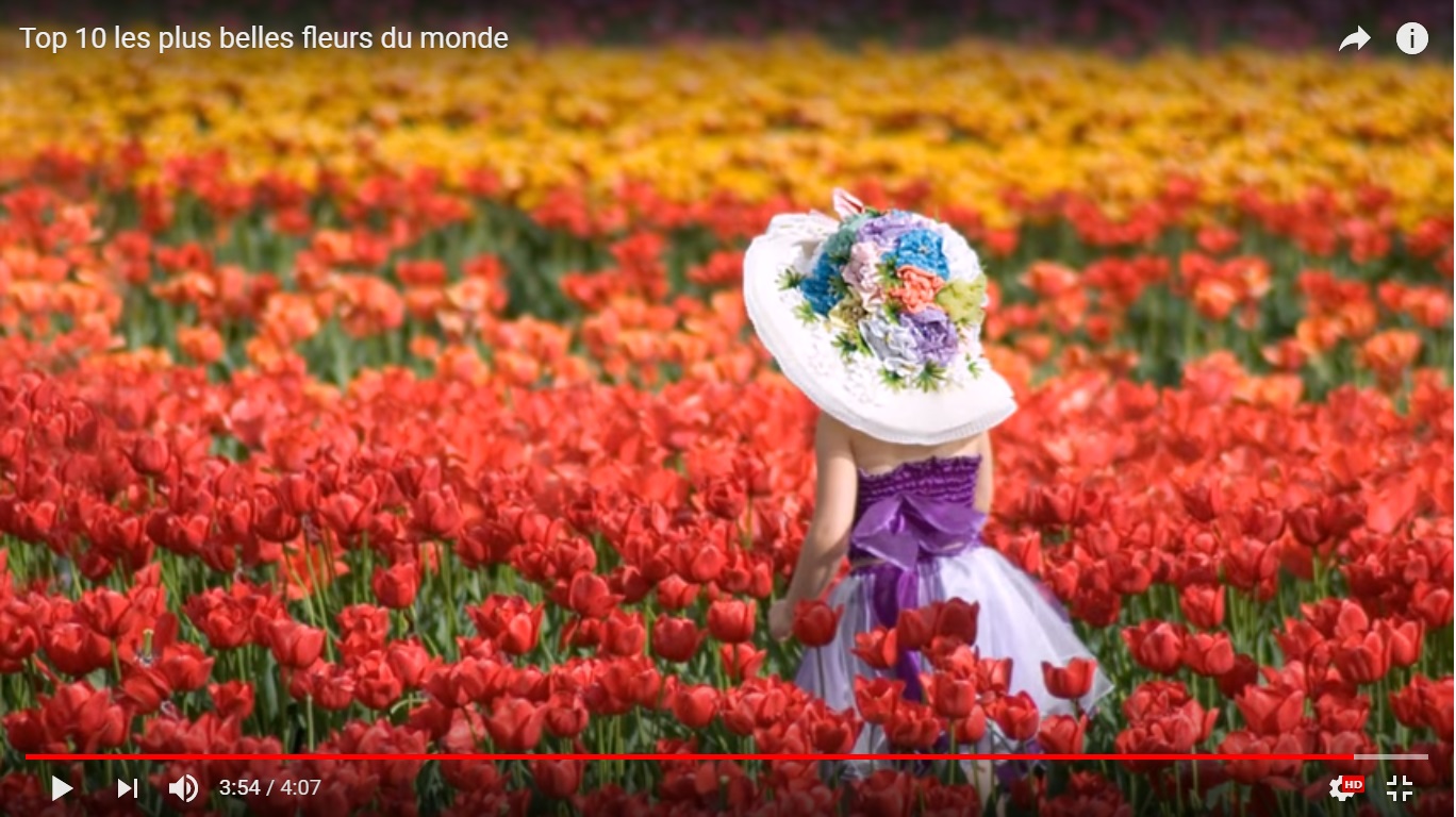 Les plus belles fleurs du monde dans une très belle présentation