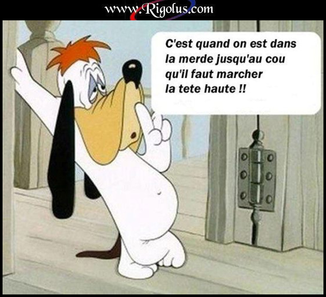 Des citations et des pensées claires et sensées, que tout le monde ...